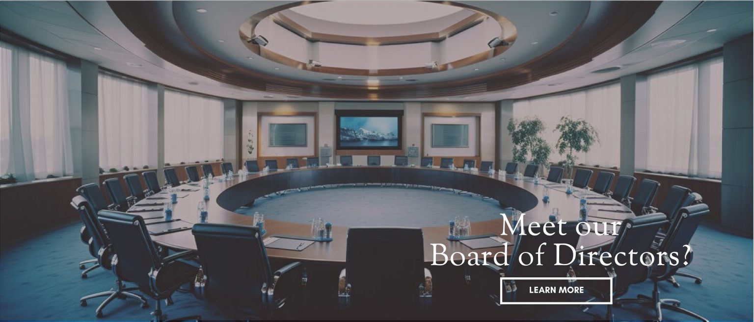 Board Of Directors - House Building Finance Company - HBFC